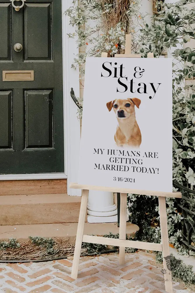 Minimalist Sit and Stay Pet Welcome Sign